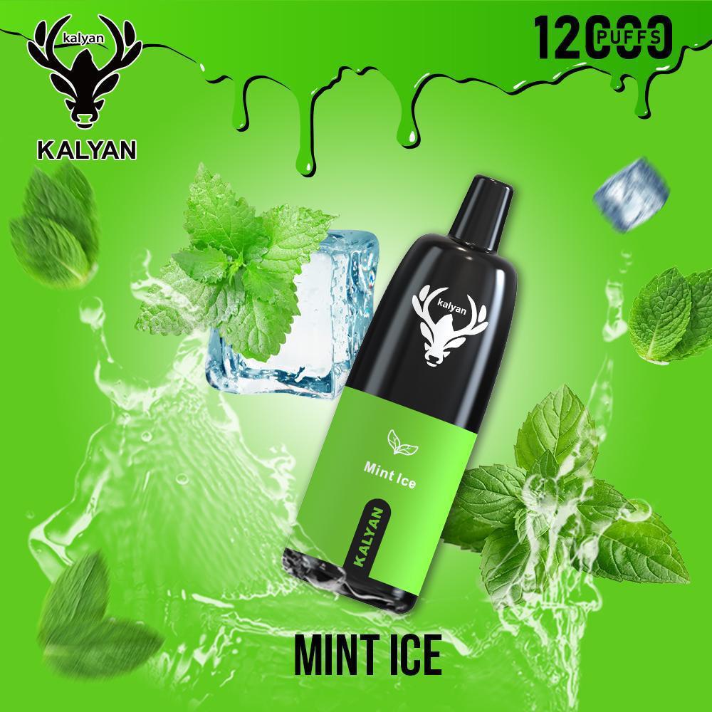 Kalyan PRO 12000 Puffs Rechargeable Disposable Vapes in Dubai UAE